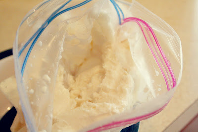Buggie and Jellybean: What we ate Wednesday. {Ice Cream in a Bag}