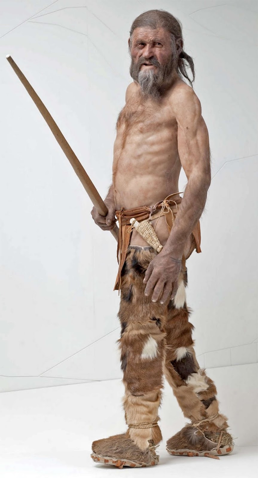 THE GRANDMA'S LOGBOOK ---: COLD CASE: WHO KILLED OETZI THE ICEMAN?