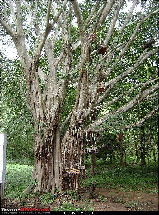 KANYAKUMARI ...A Must Visit Place Once in LIFETIME: Kanyakumari ...