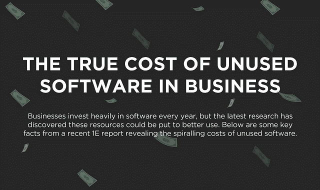 The True Cost of Unused Software in Business #infographic - Visualistan