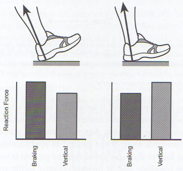 BIOMECHANICS OF THE BASKETBALL LAY UP: Biomechanical Knowledge for the ...