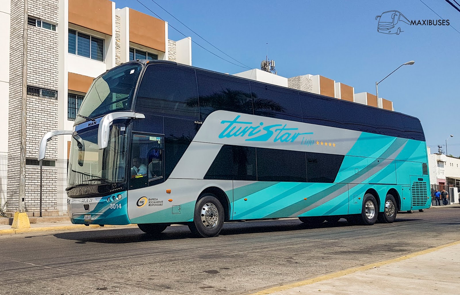 MAXIBUSES: TURISTAR LUJO