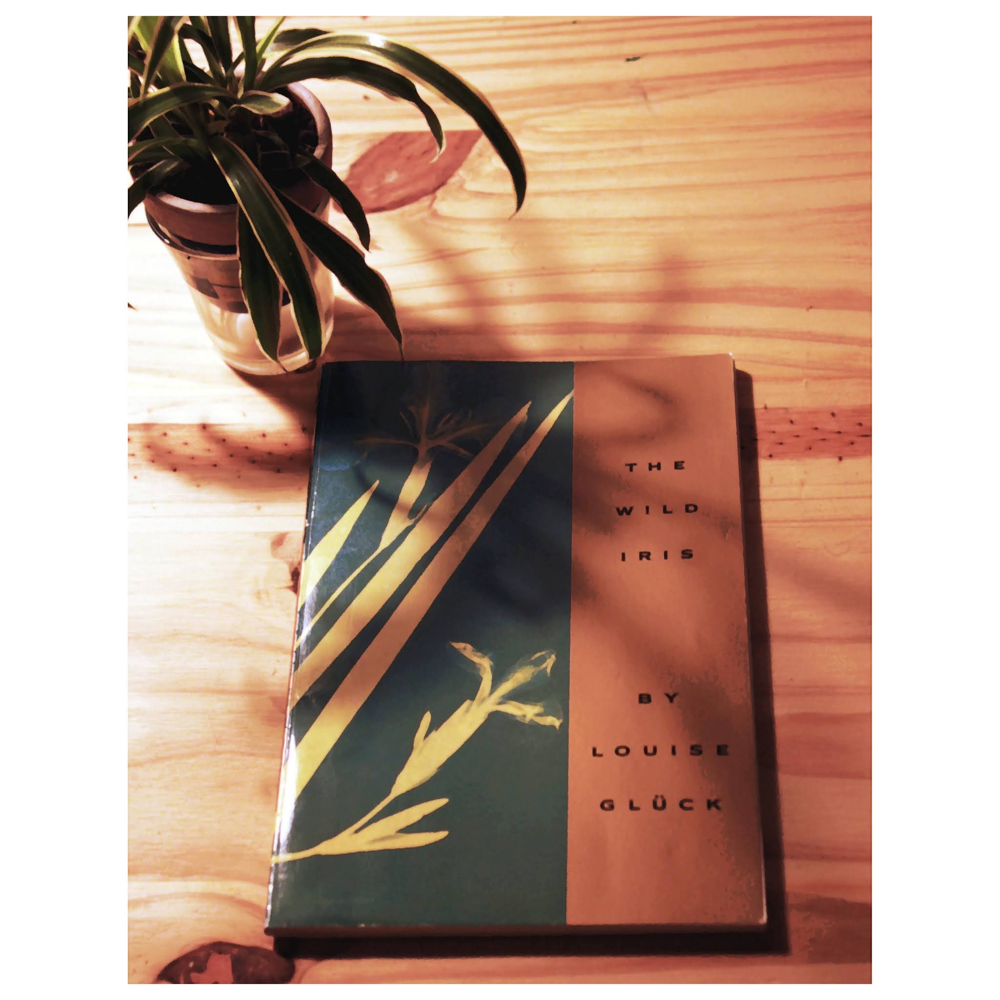 Jorge Díaz Martínez: The Wild Iris, de Louise Glück