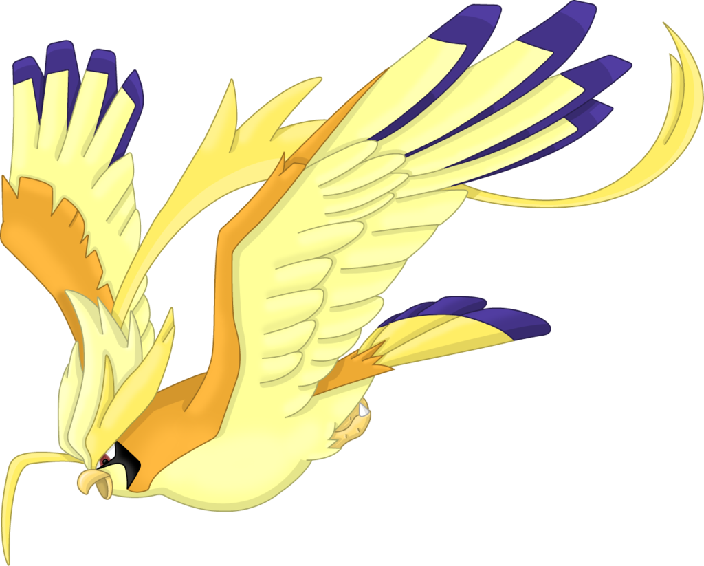 018 Mega Pidgeot | PokeFace
