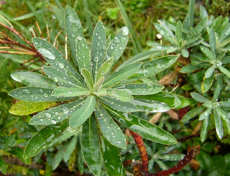 Babone 5GO: Temps de saison