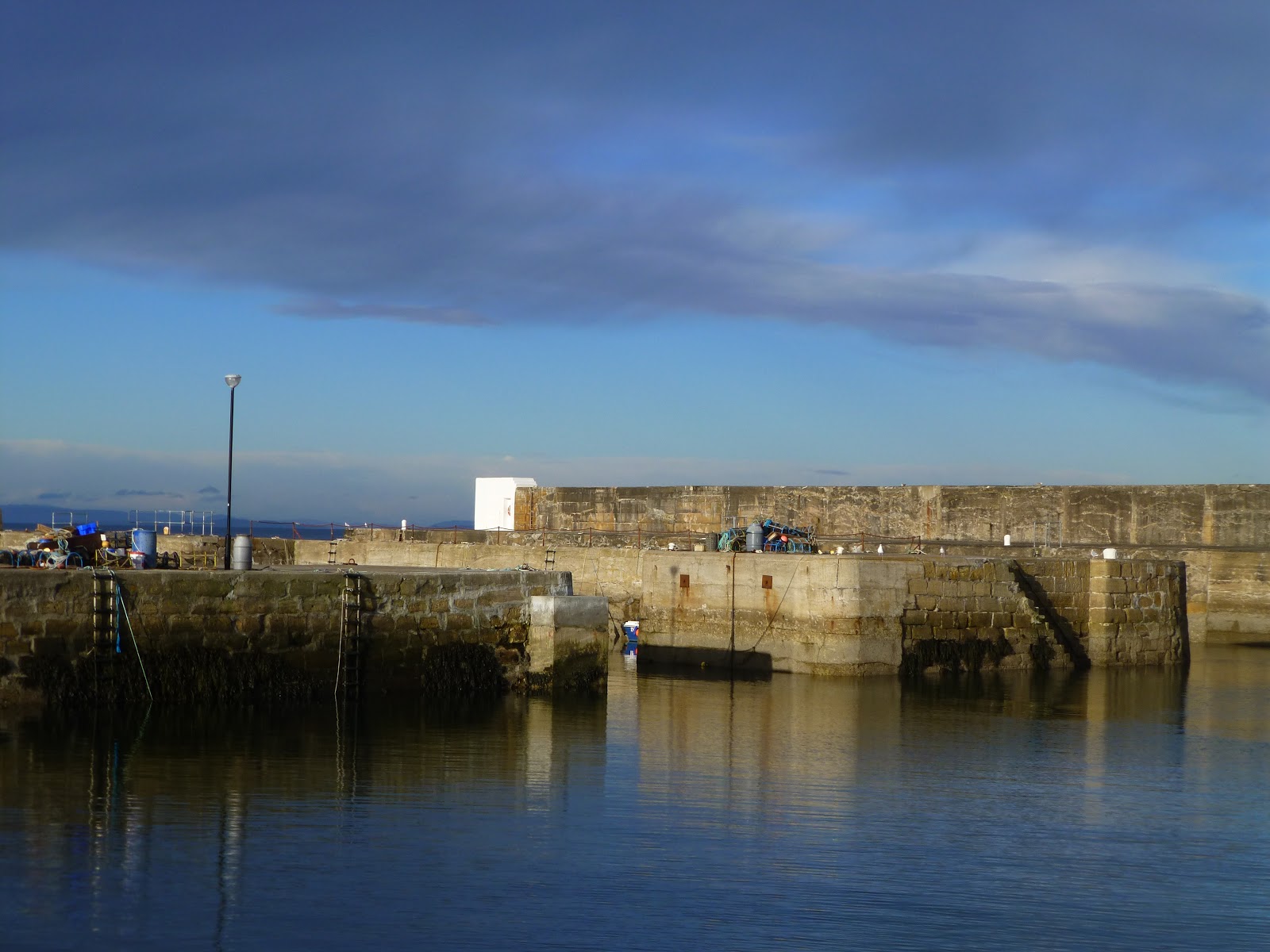 Big Gorse Bush: November - Hopeman