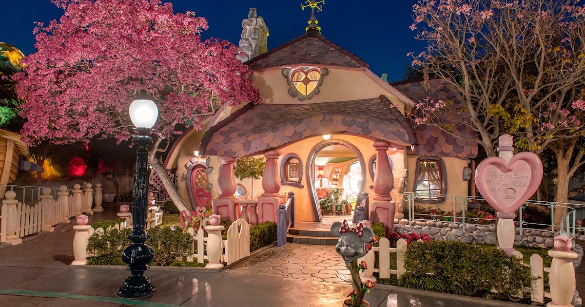 Disney Photoblography