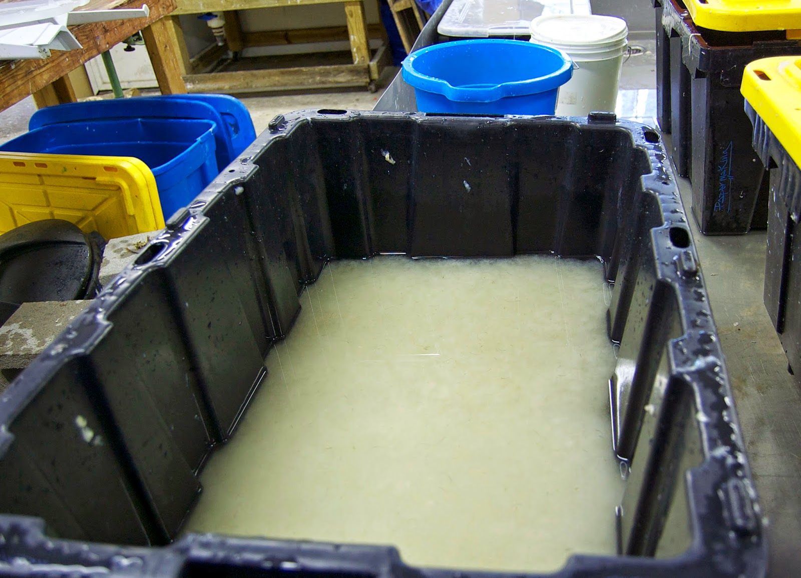 Draw what you see: I'm making spanish moss paper... from moss.