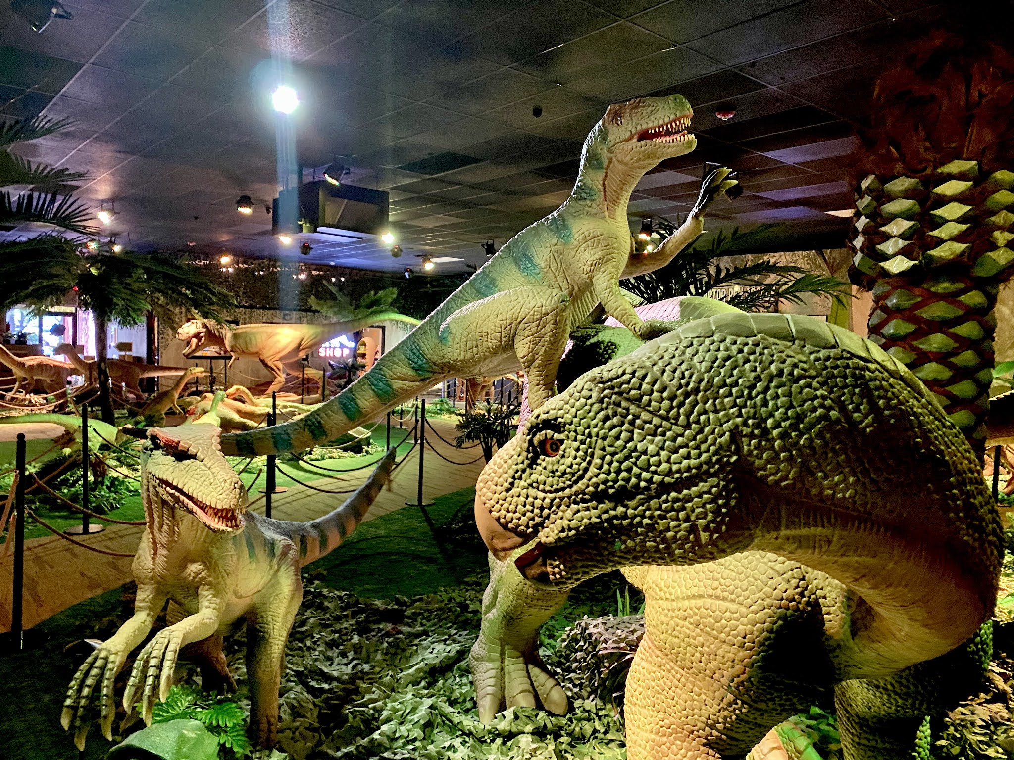 Chucks Adventures Jurassic Gardens In Volo