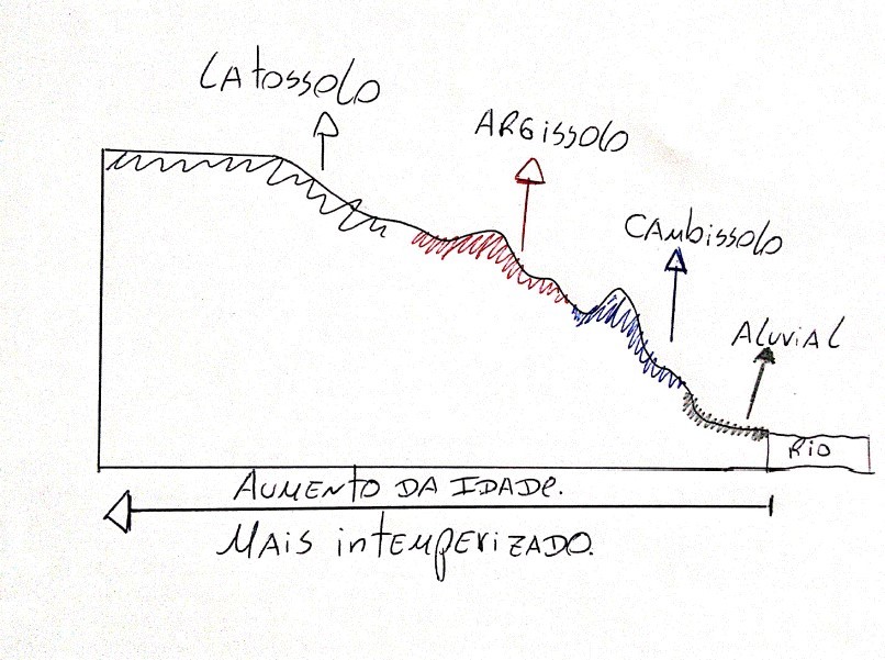 Características do Argissolo