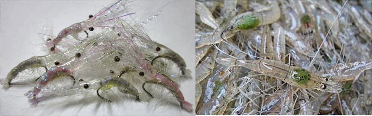 JC's Art of Flies: Step-by-Step Tying JC's Clear Shrimp Fly