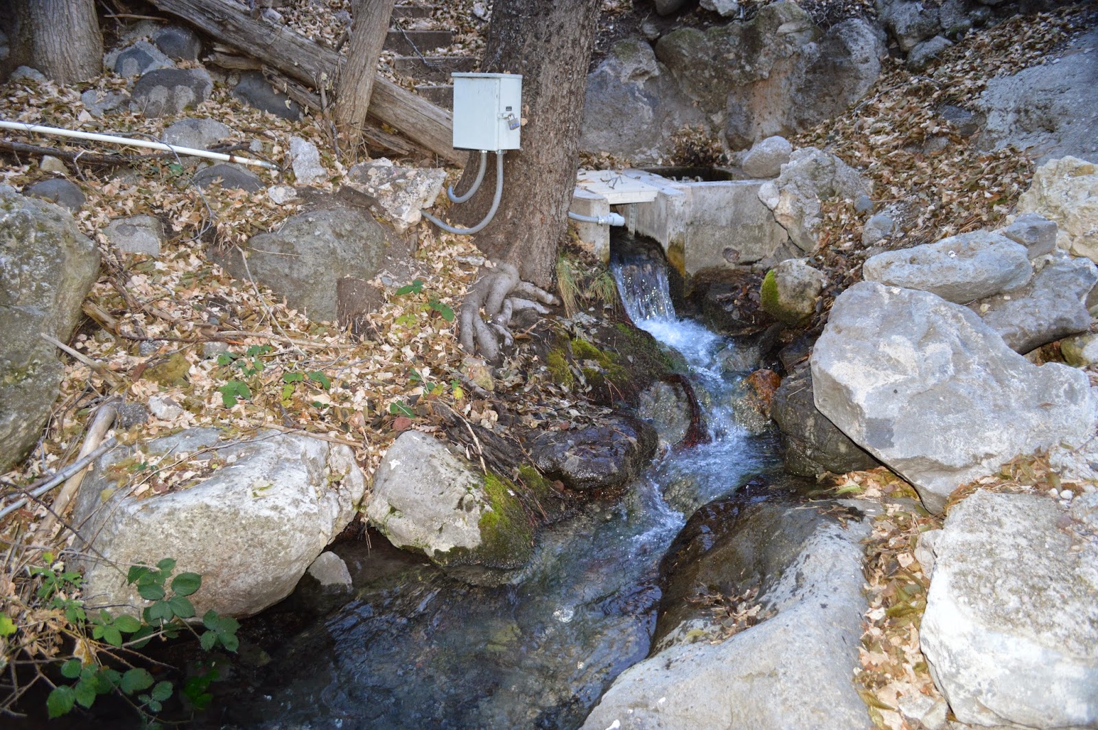 Mark Thomas - Geology: STERLING SPRINGS FISH HATCHERY