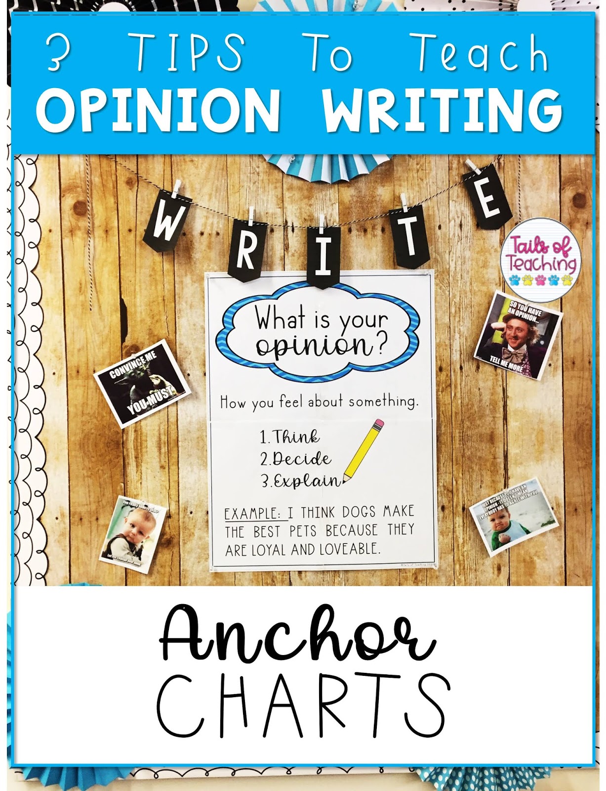 Tails of Teaching: 3 Tips to Teach Opinion Writing