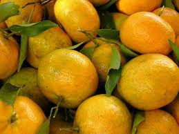 GRAMÁTICA E QUESTÕES VERNÁCULAS: QUAL A DIFERENÇA ENTRE TANGERINA ...