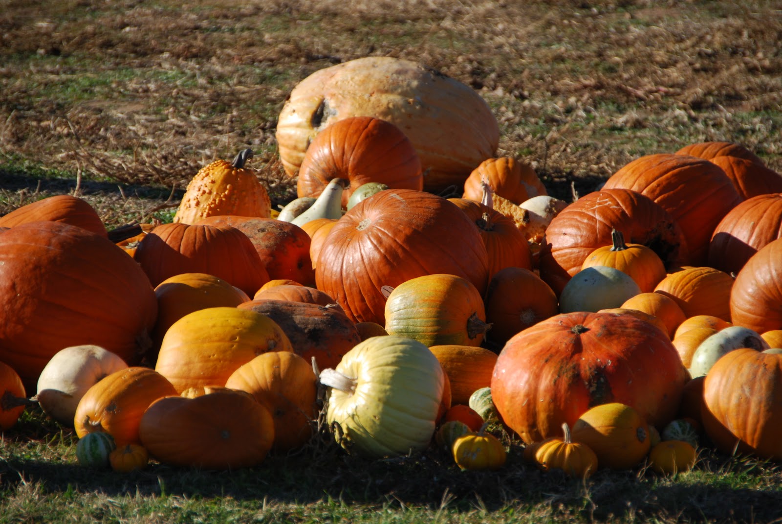 Shine Like Stars: 2011