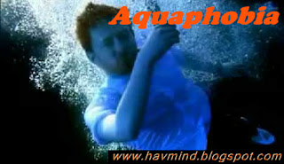 HAVMINDS Video Dictionary