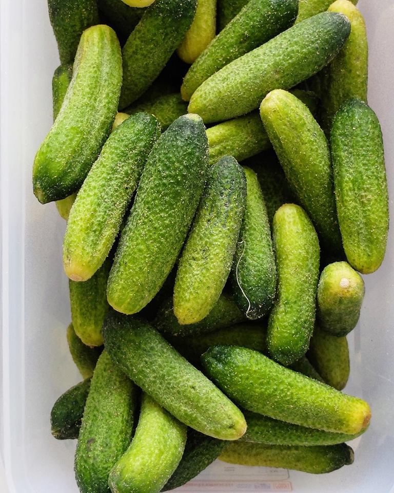 squisitoO!: Les fameux cornichons du chef Karen Torosyan (restaurant ...