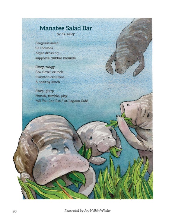 TeacherDance: Poetry Friday - Come Take A Trip To The Sea!