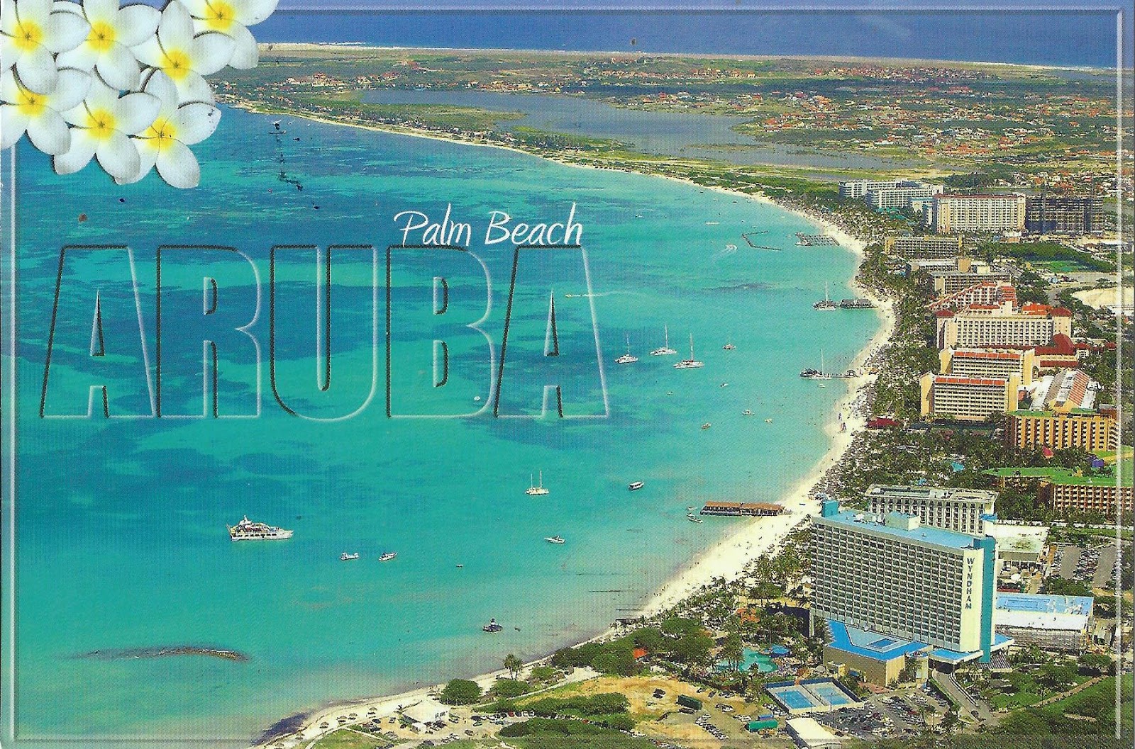 A Journey of Postcards: Palm Beach | Aruba