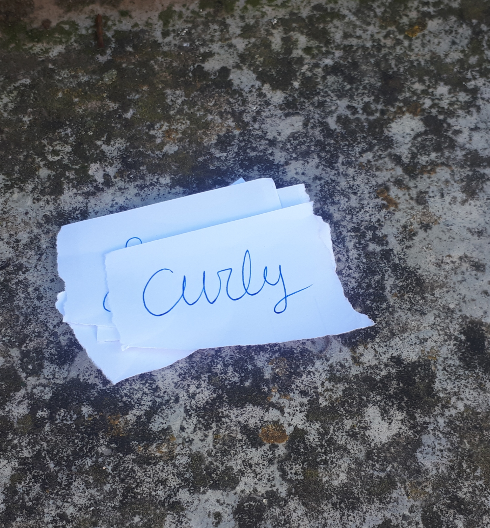 VARIA ENGLISH CLASS!!: VOCABULARY RELAY RACE