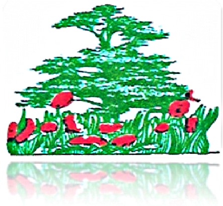 Colégio Cital de Base