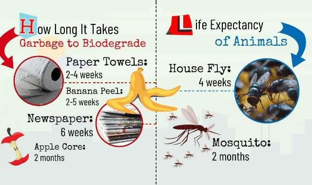 How Long Does Your Garbage Live For? #Infographic - Visualistan