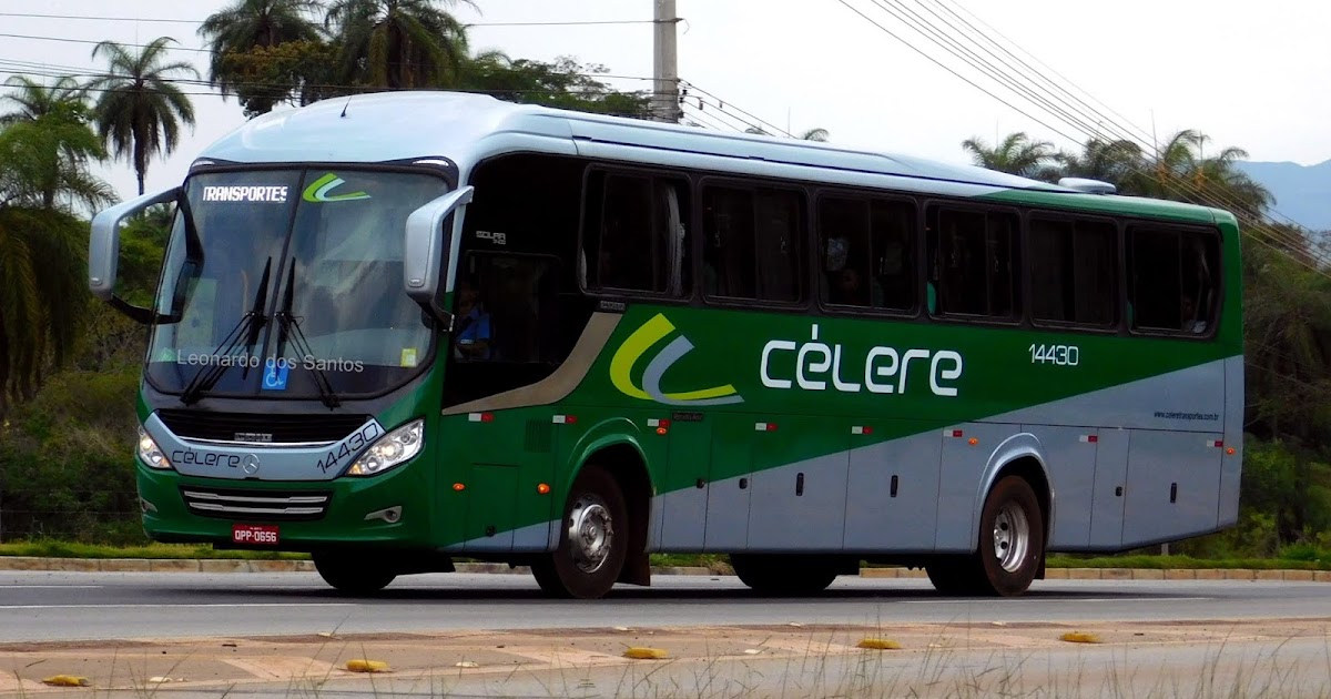 ONIBUS DIVERSOS 1: CÉLERE TRANSPORTES