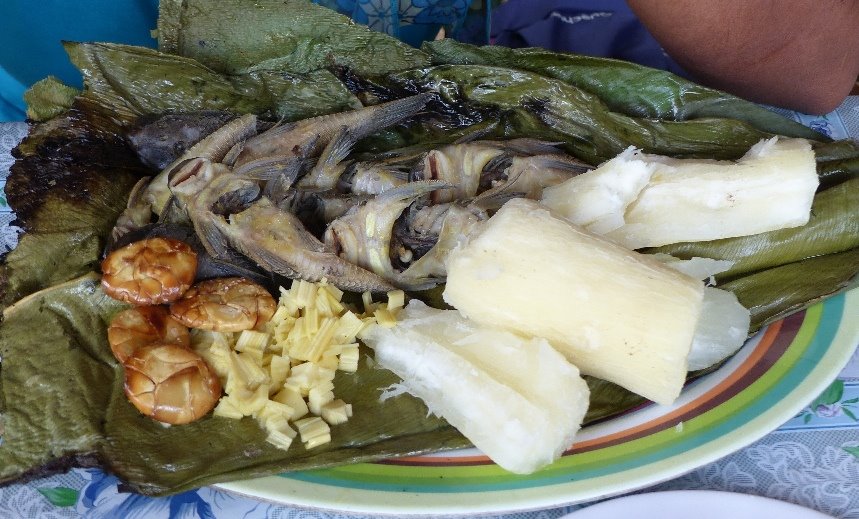 MAITO DE CARACHAMA | Yacuruna Travel Ecuador