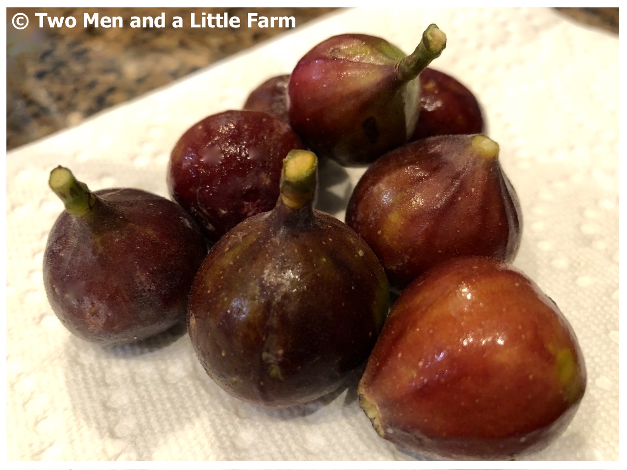 Two Men and a Little Farm: HONEY ROASTED FIGS