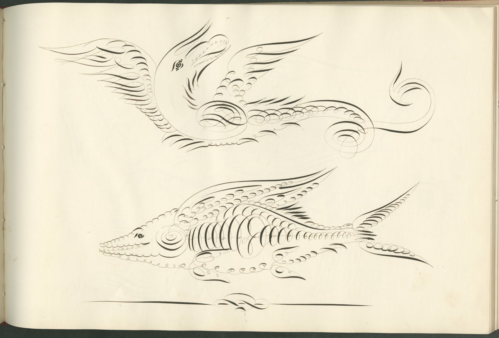 Rauner Special Collections Library: Beautiful Writing