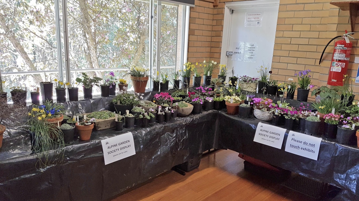 Alpine Garden Society Victorian Group: Oron Peri Talk.