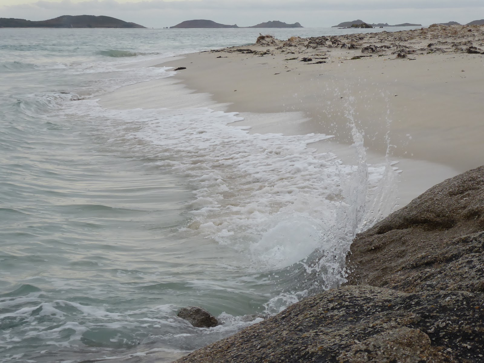 My antidote to the midweek blahs - colour therapy and beach walks ...