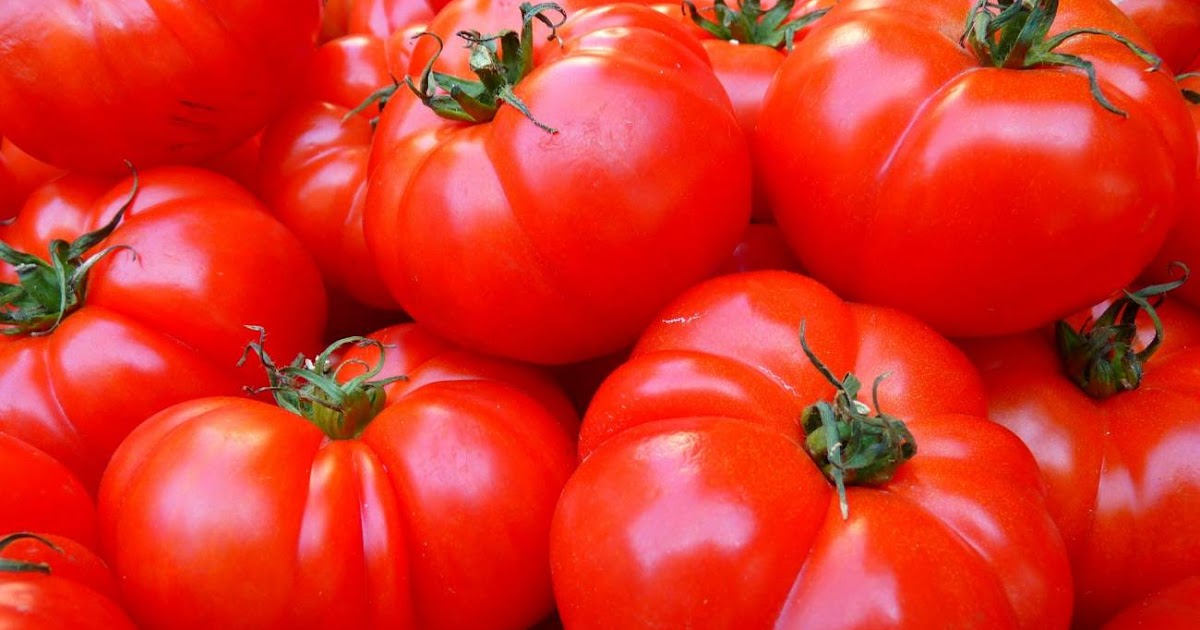 De Tomaat: Waarom werd een tomaat zo groot?