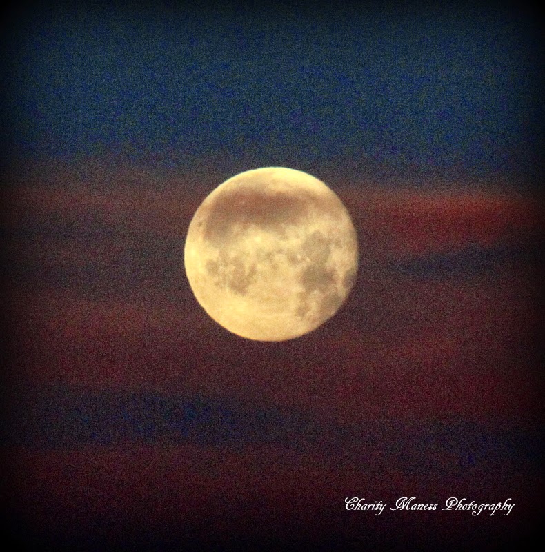 Copper Gazette: Full moon July 12th