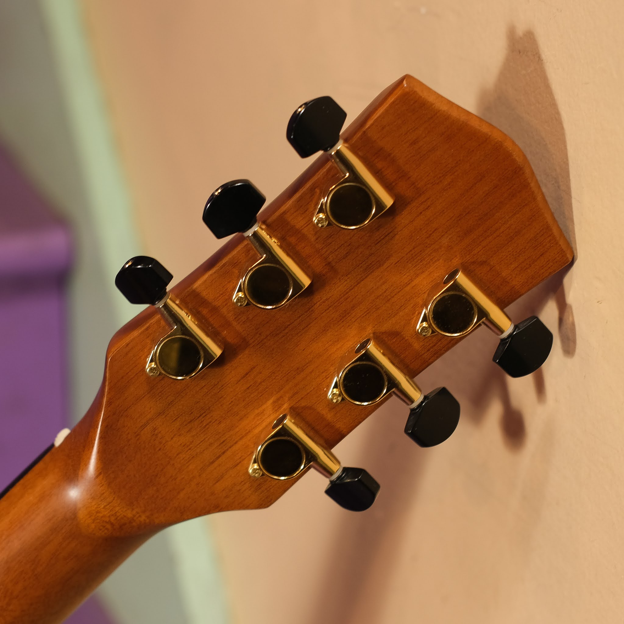 2017 Gold Tone GBG+ Baritone Guitar