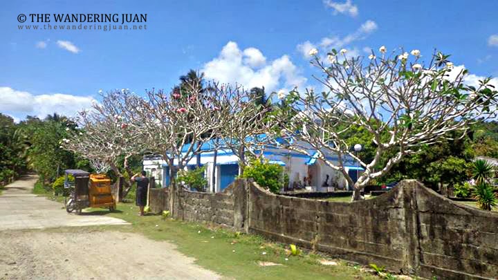 The Untouched Natural Wonders of Catanduanes - The Wandering Juan
