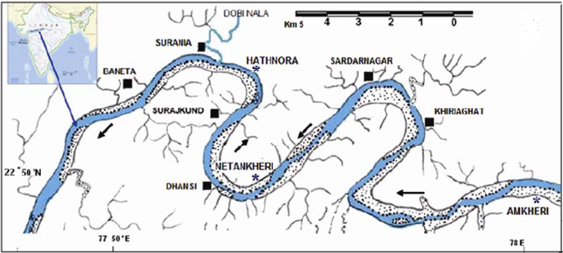 Indian Biodiversity Talks: Pygmy sized human ancestor in Central ...
