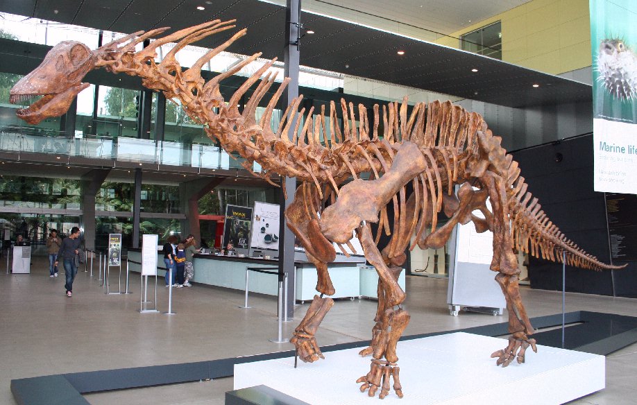 Extinct Animal of the Week: Amargasaurus the Beautiful