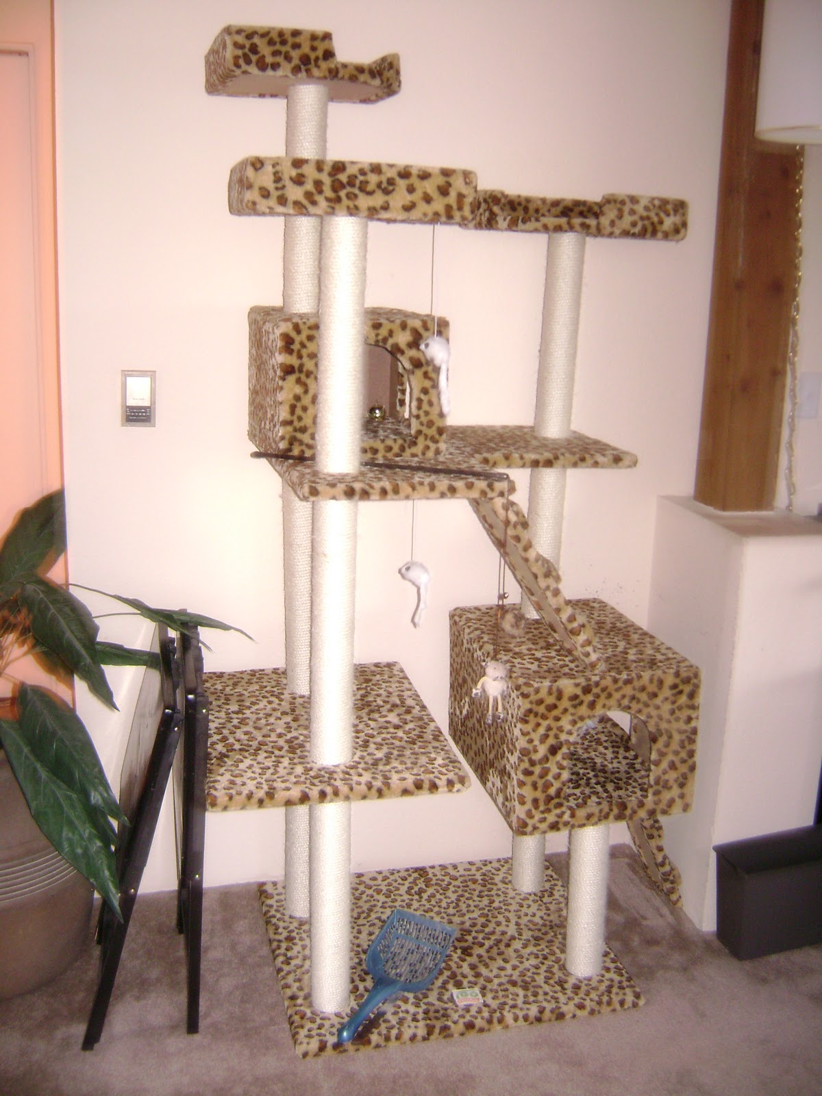 Inside Looking Out Albuquerque: The ultimate cat tree