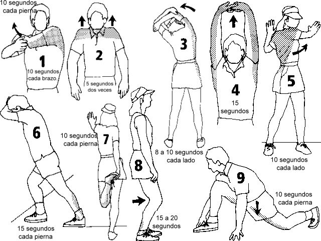 mas sobre educación física: calentamiento general y especifico