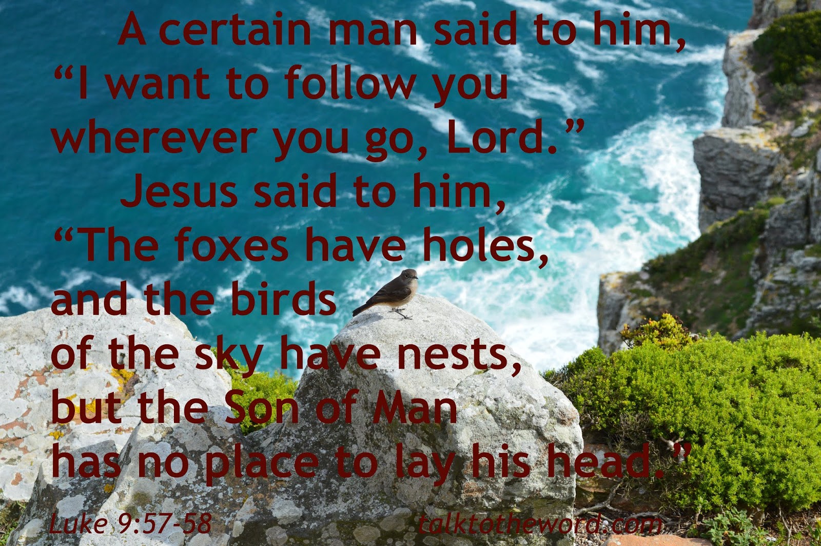 Luke 9 57 58