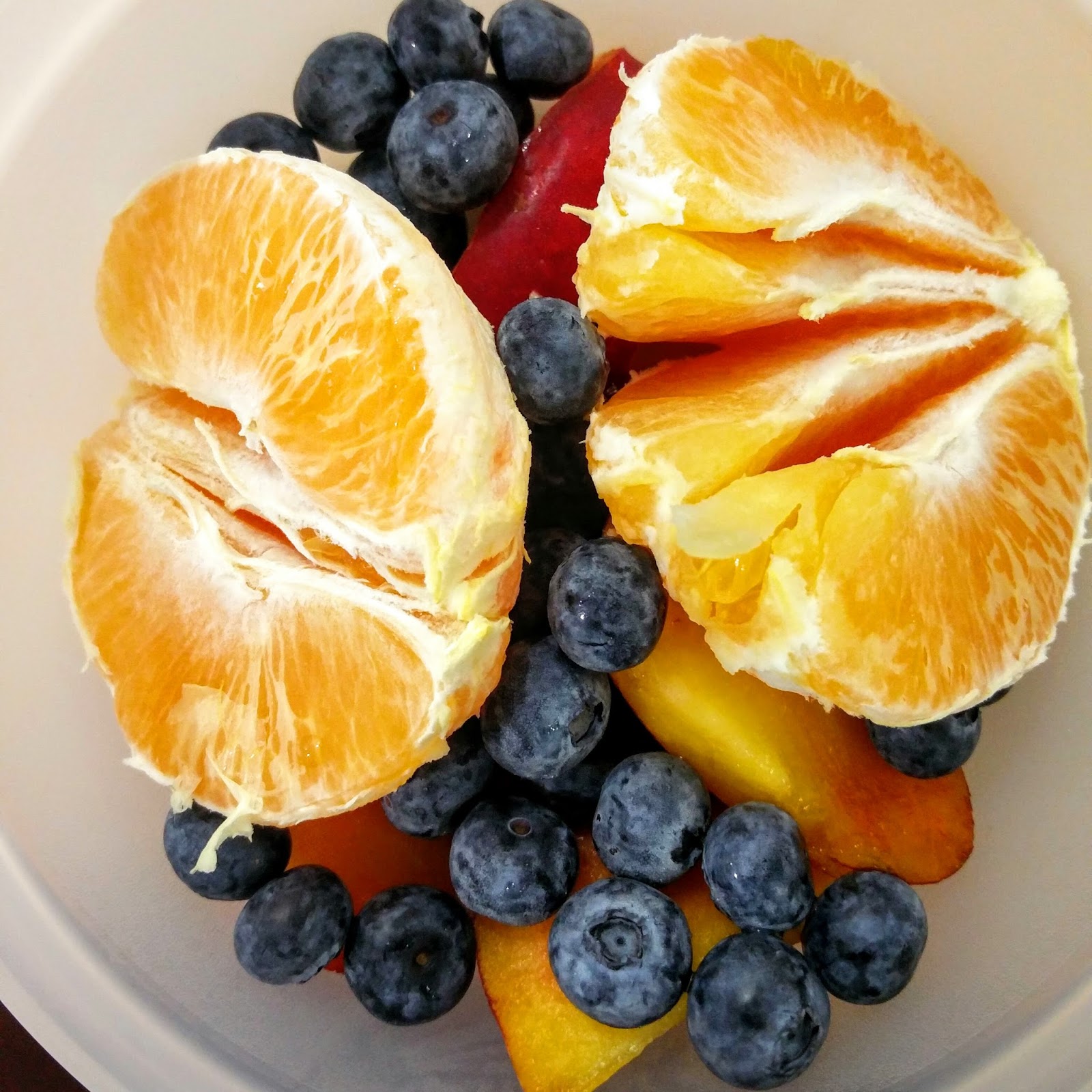 Lebanon's Tout Berry Farms Pioneer Blueberry Farming in the Middle East