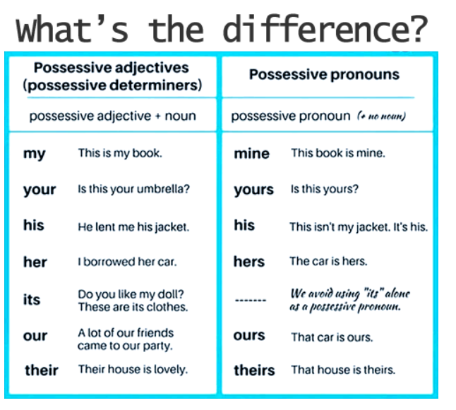 Segundo ciclo: Possessive Adjectives vs. Possessive Pronouns unit 4