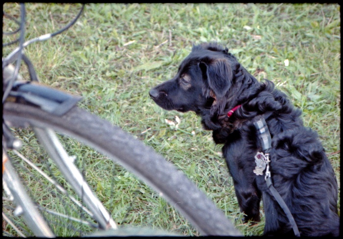 Iwan B.: Yashica Samurai X3.0