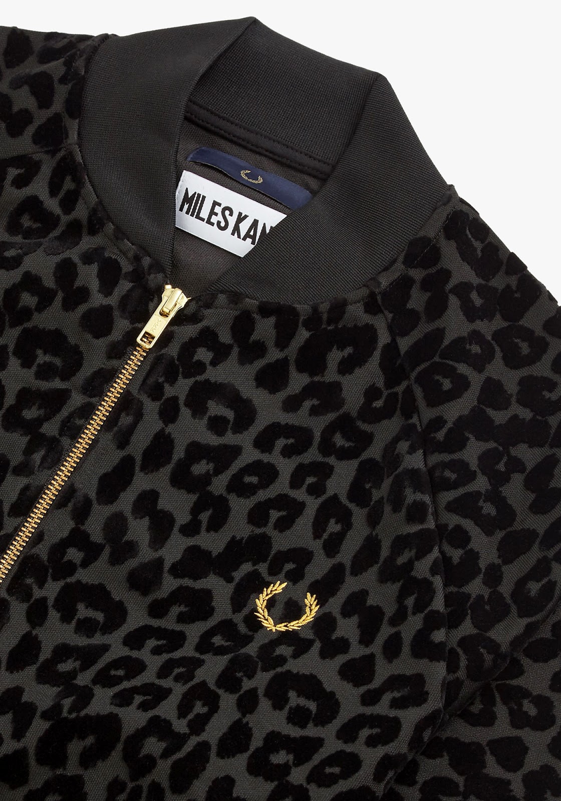 AIOI BLOG: MILES LEOPARD