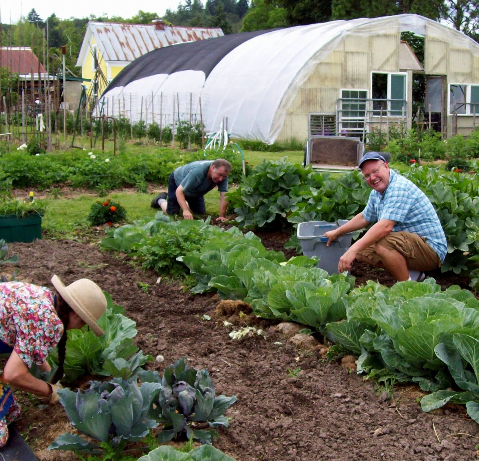 The Sharing Gardens : Overview and Benefits of the Sharing Gardens