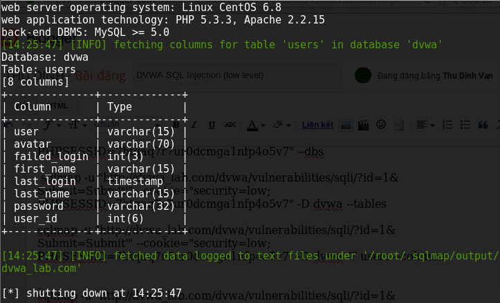 DVWA SQL Injection (low level) - THU DINH