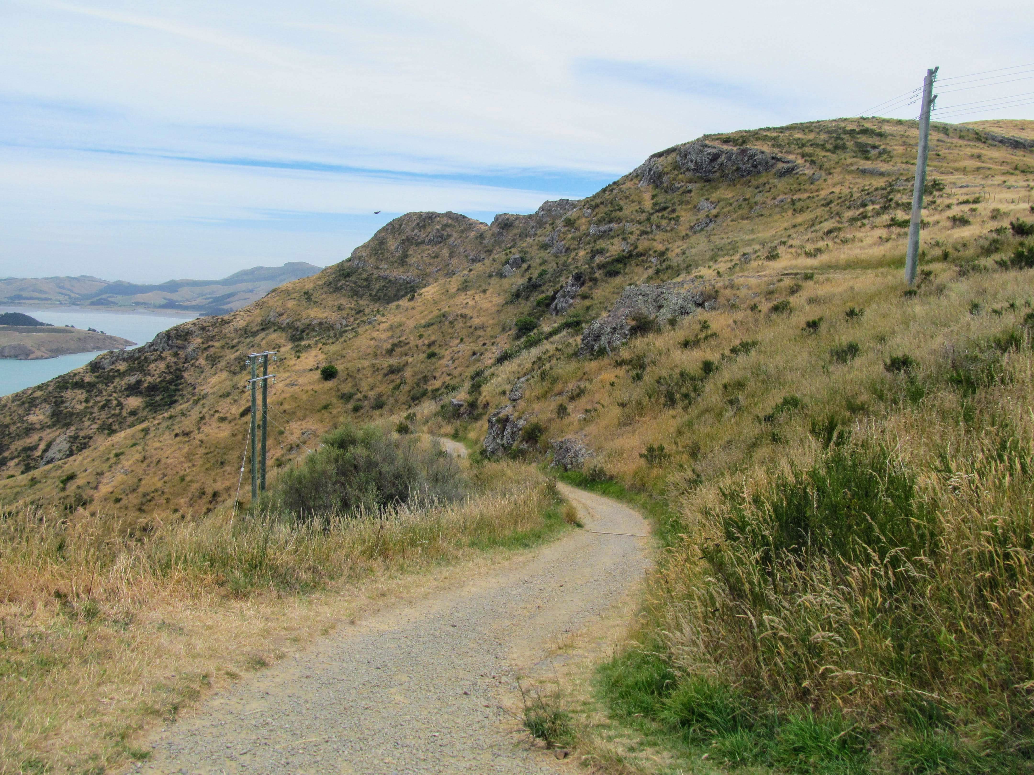 Tramping in the New Zealand backcountry: NZ Bush Adventures: Excellent ...