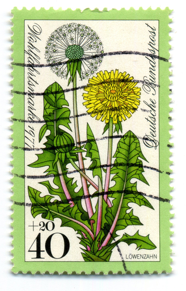 Dandelions: German Dandelion Postage Stamp