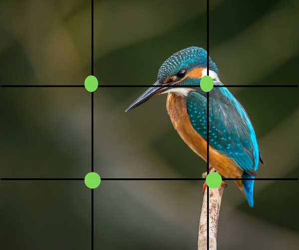 Composición Fotográfica | Blog de Fotografía (Club f2.8 )